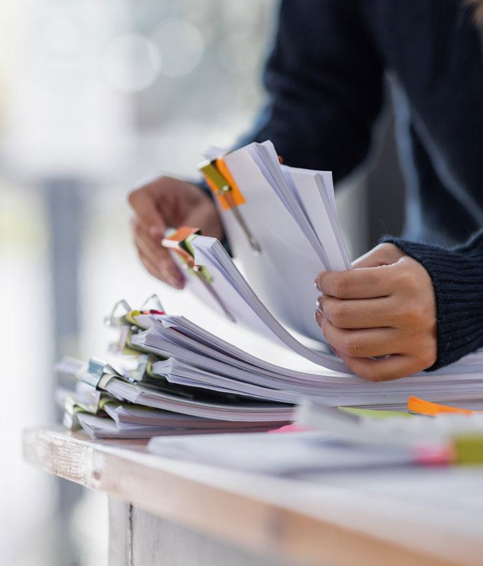 Work Permit & Visa| S Plus Consultant